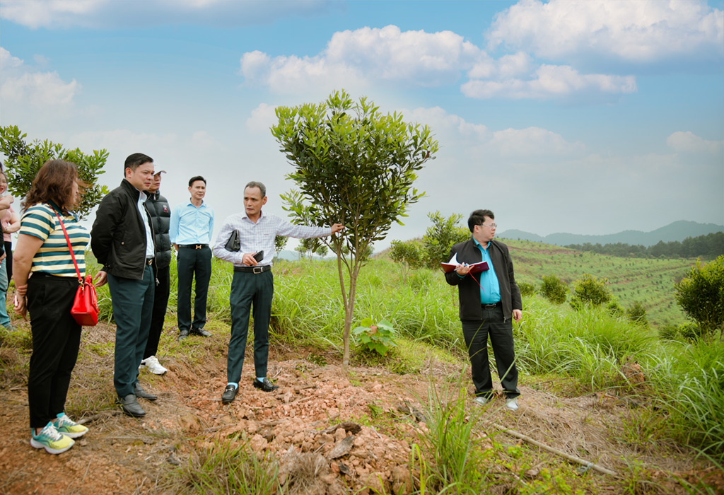 Vinafor cần tiên phong đẩy mạnh sản xuất xanh, hướng tới mục tiêu phát ...